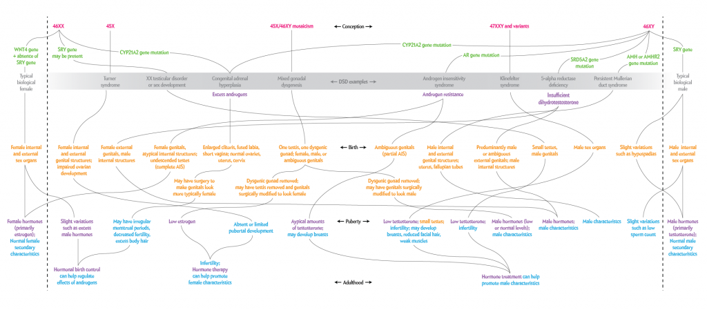 Peculiar Data Visualizations And Infographics In Dataviz Weekly