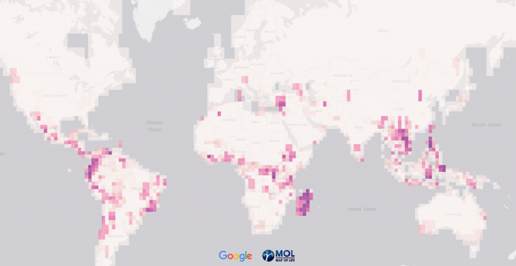 map-life-discovery | AnyChart News