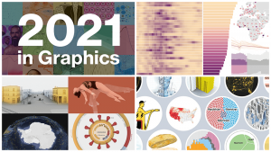 2021 Year in Review in Graphics — DataViz Weekly