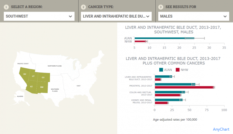 Native American Cancer Data Visualization Using AnyChart JS